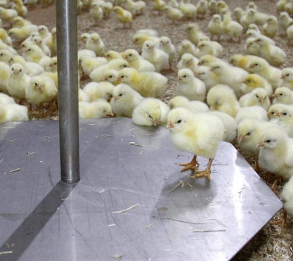 Intelligent Farming Solutions | Can-Neth Imports Ltd.